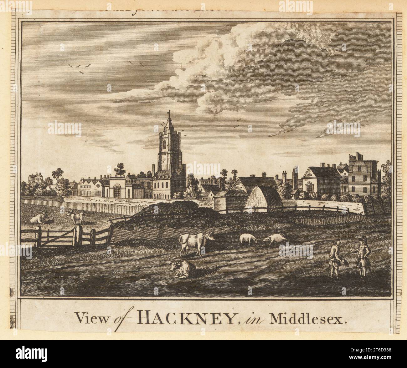 View of Hackney in Middlesex, 1784. Fields with cattle grazing, the ...