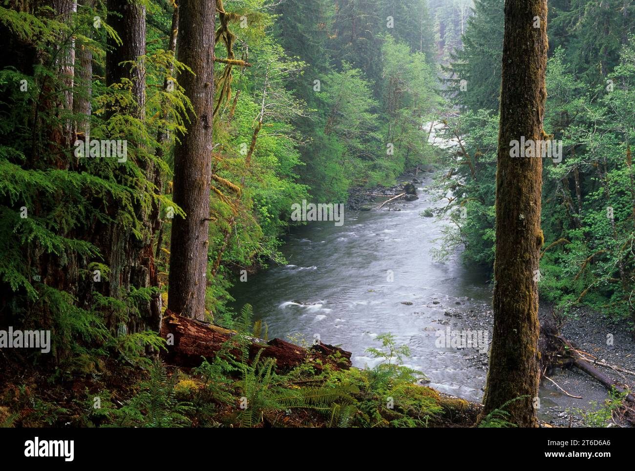 Sol Duc River, Olympic National Park, Washington Stock Photo - Alamy