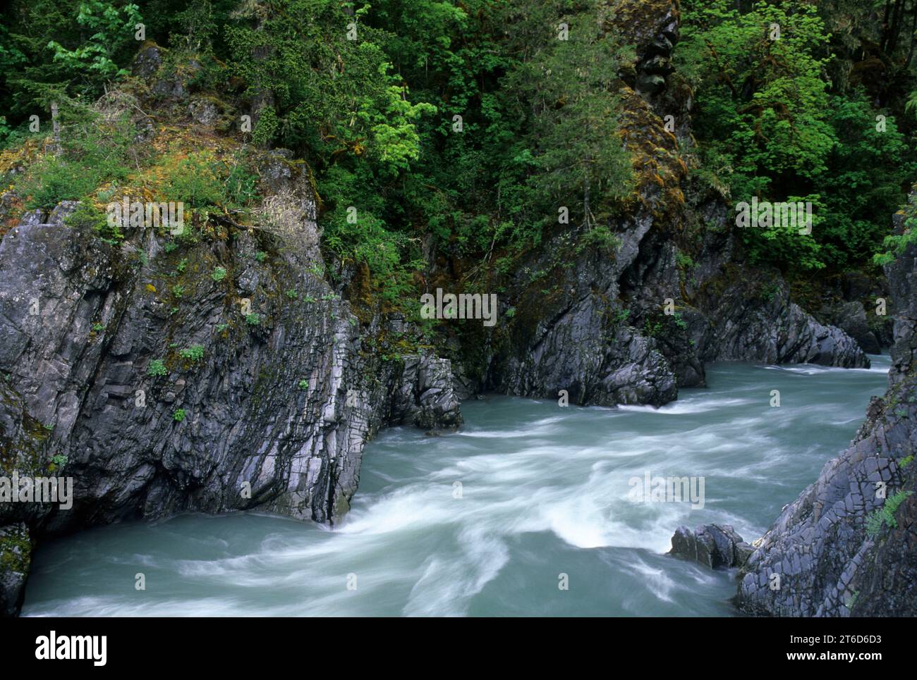 Goblins Gate, Olympic National Park, Washington Stock Photo - Alamy