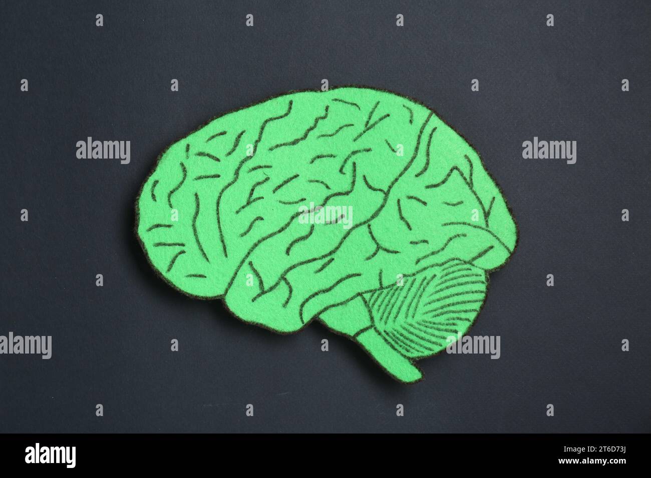Human brain cutout hi-res stock photography and images - Alamy