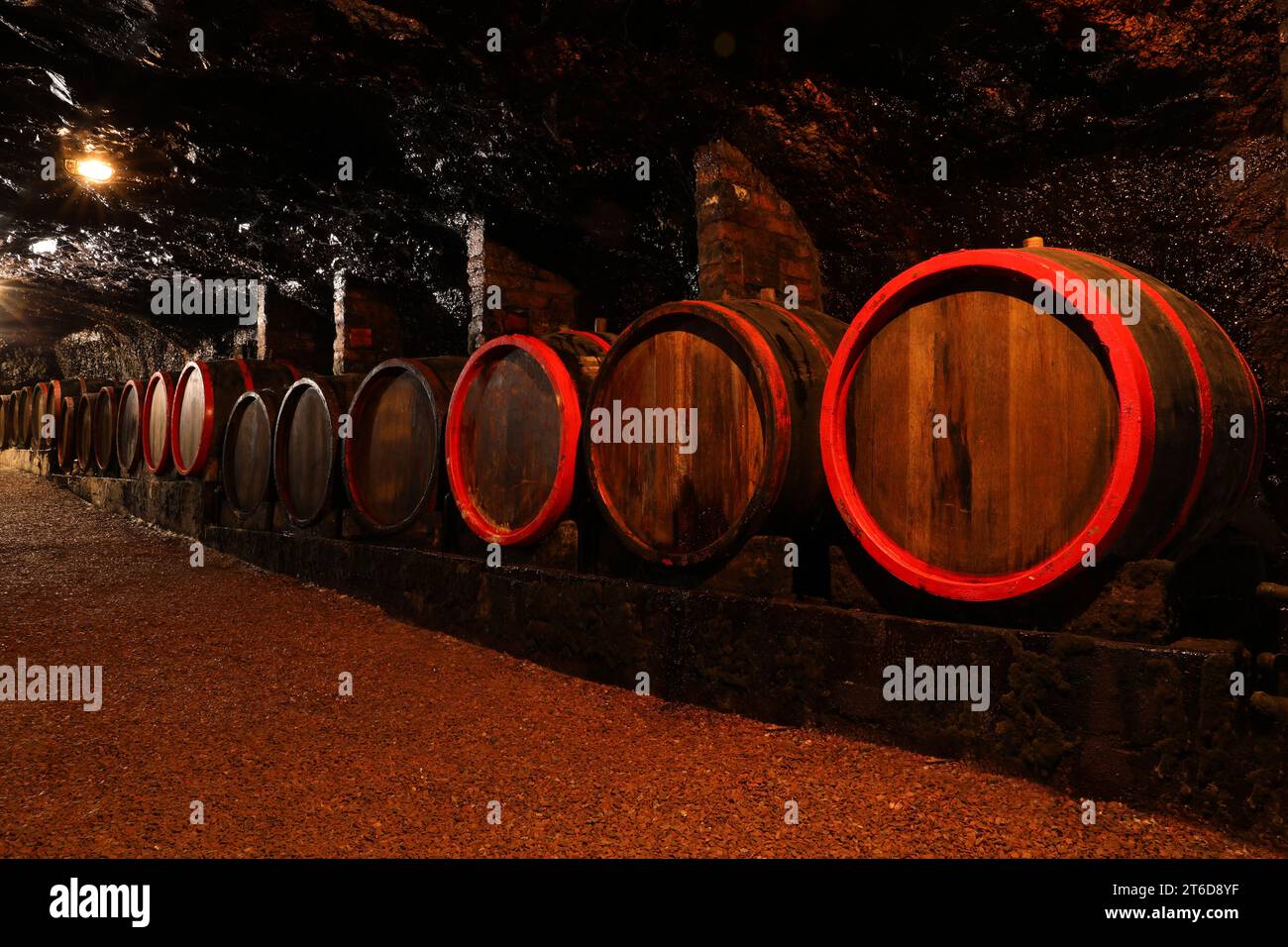Many wooden barrels with alcohol drinks in cellar Stock Photo - Alamy