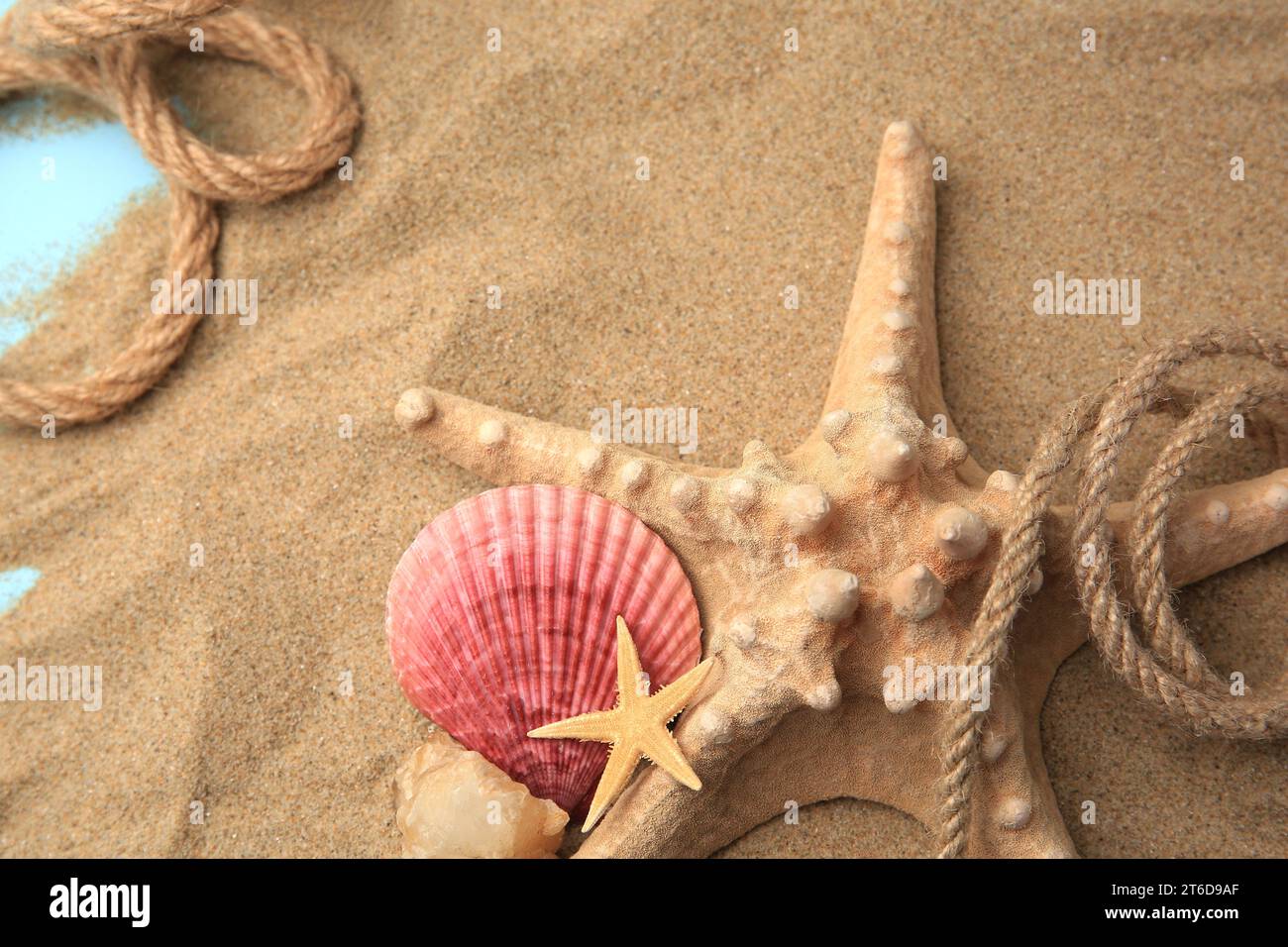 Beautiful starfishes, sea shells, rope and sand on light blue ...
