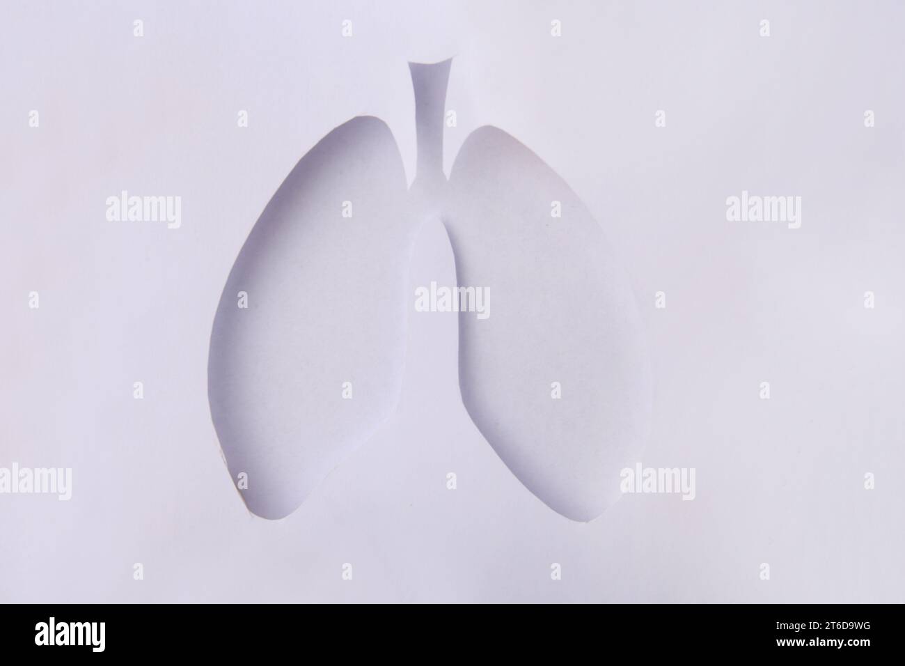 Paper with hole in shape of human lungs on white background, top view ...