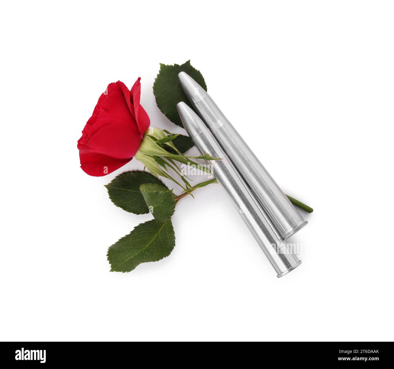 Bullets and red rose isolated on white, top view Stock Photo - Alamy