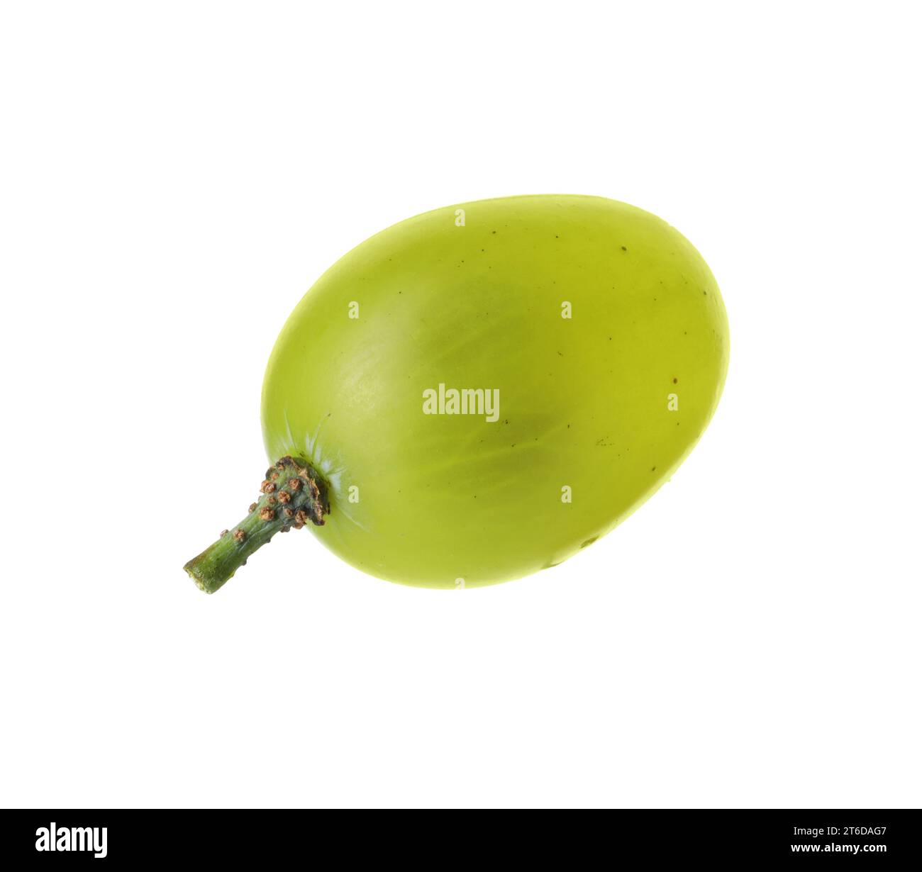 One ripe green grape isolated on white Stock Photo - Alamy