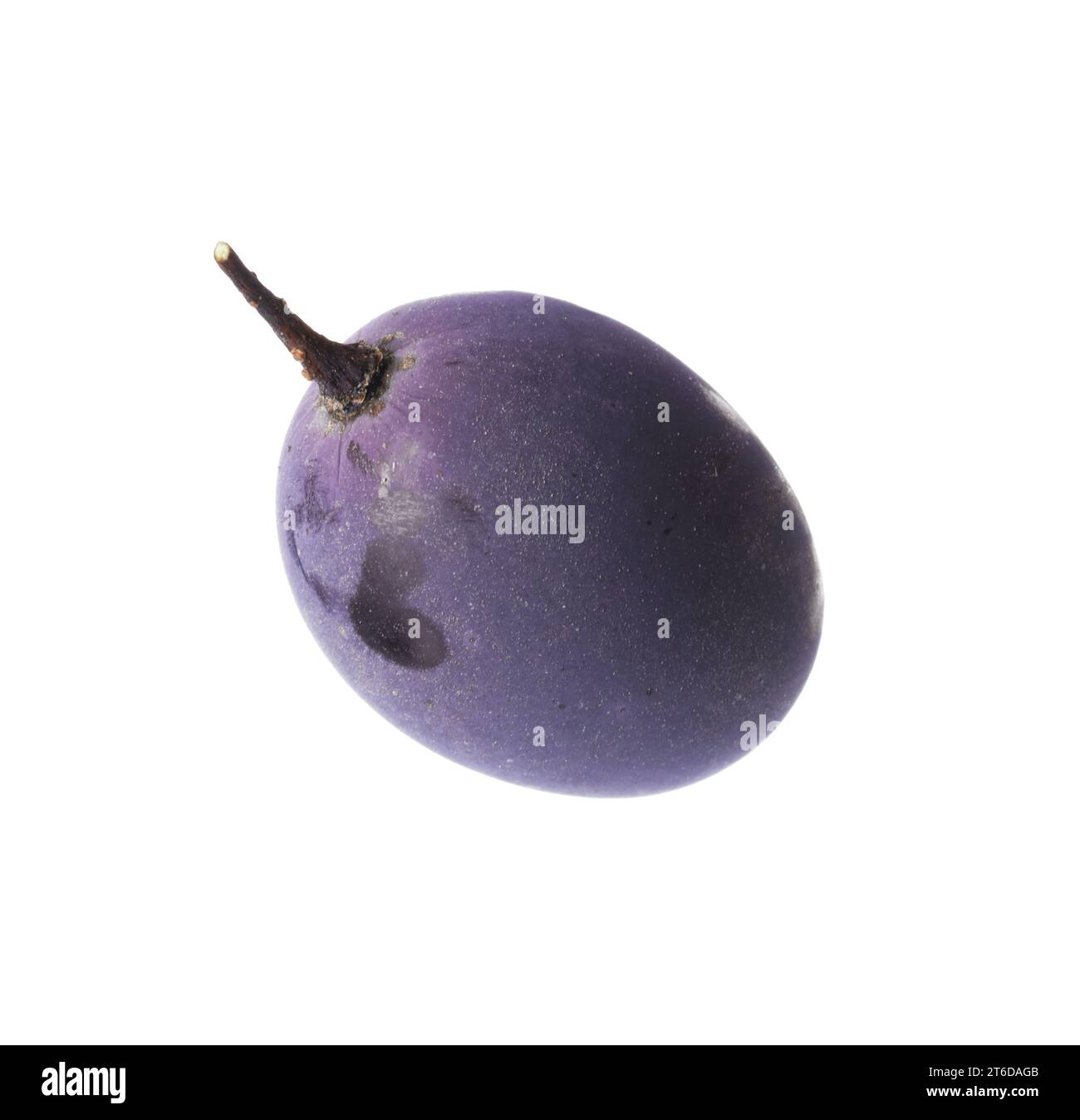 One ripe dark blue grape isolated on white Stock Photo - Alamy