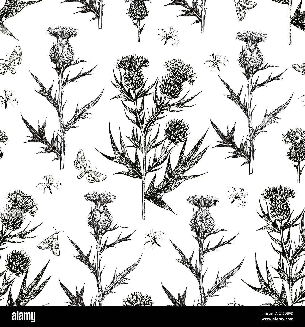 Seamless pattern with thistle flowers and buds. Ink hand-drawn detailed ...