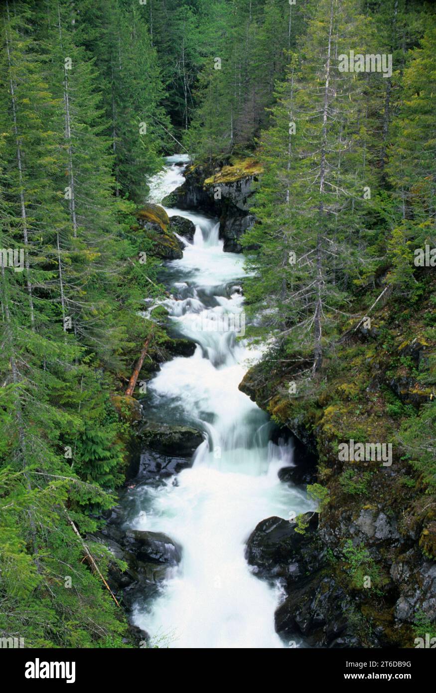 Hamma hamma hi-res stock photography and images - Alamy