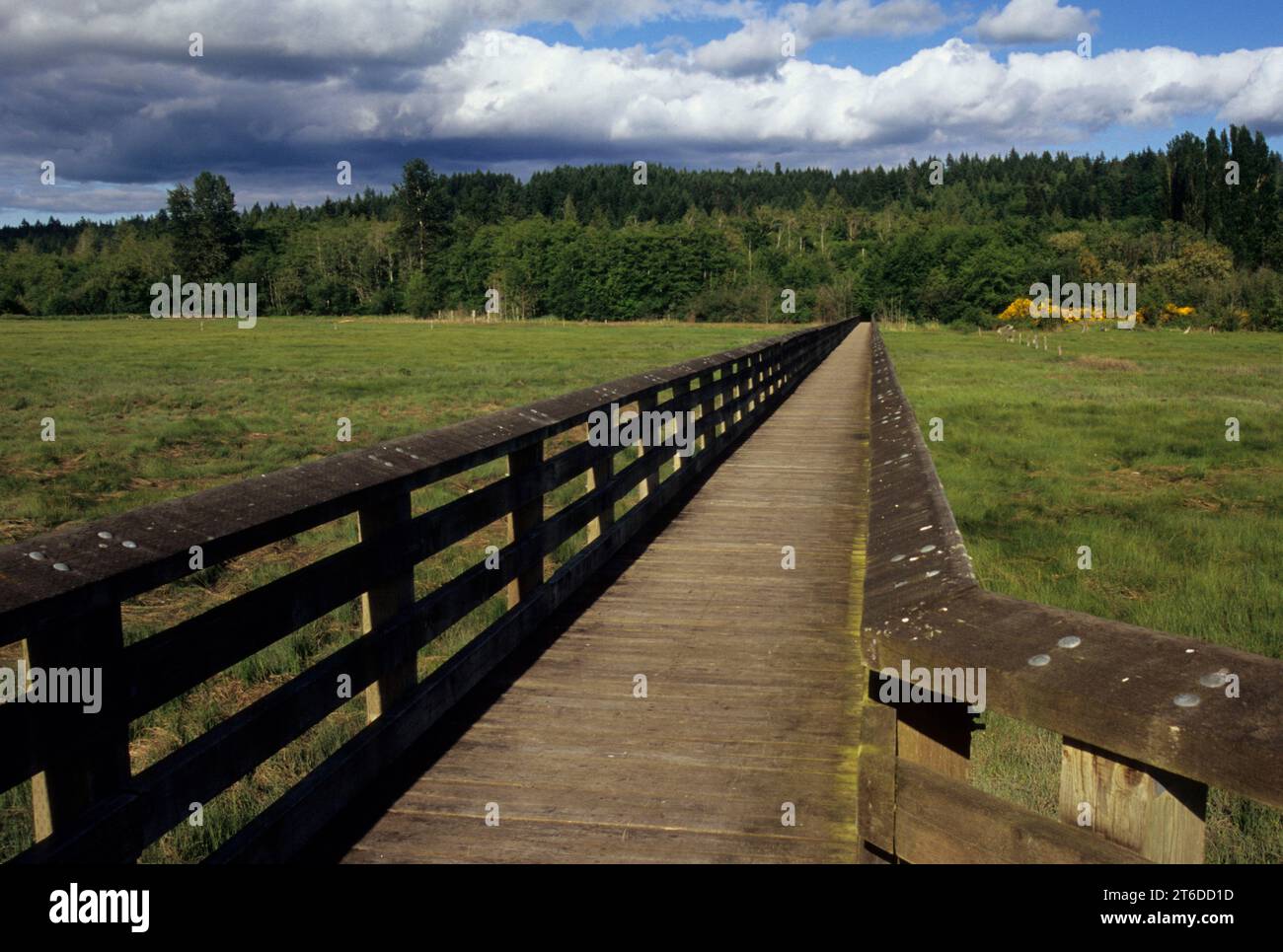 Theler wetland park hi-res stock photography and images - Alamy