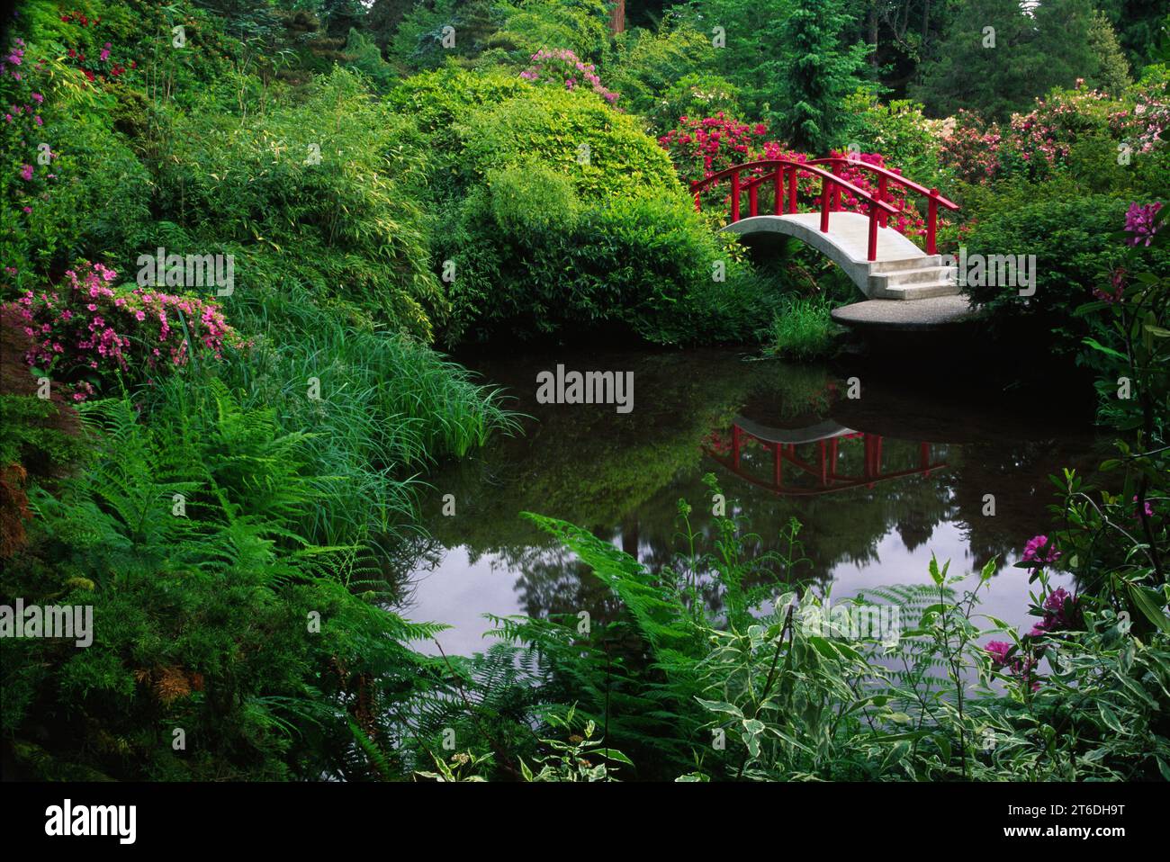 Moon Bridge, Kubota Garden, Seattle, Washington Stock Photo - Alamy