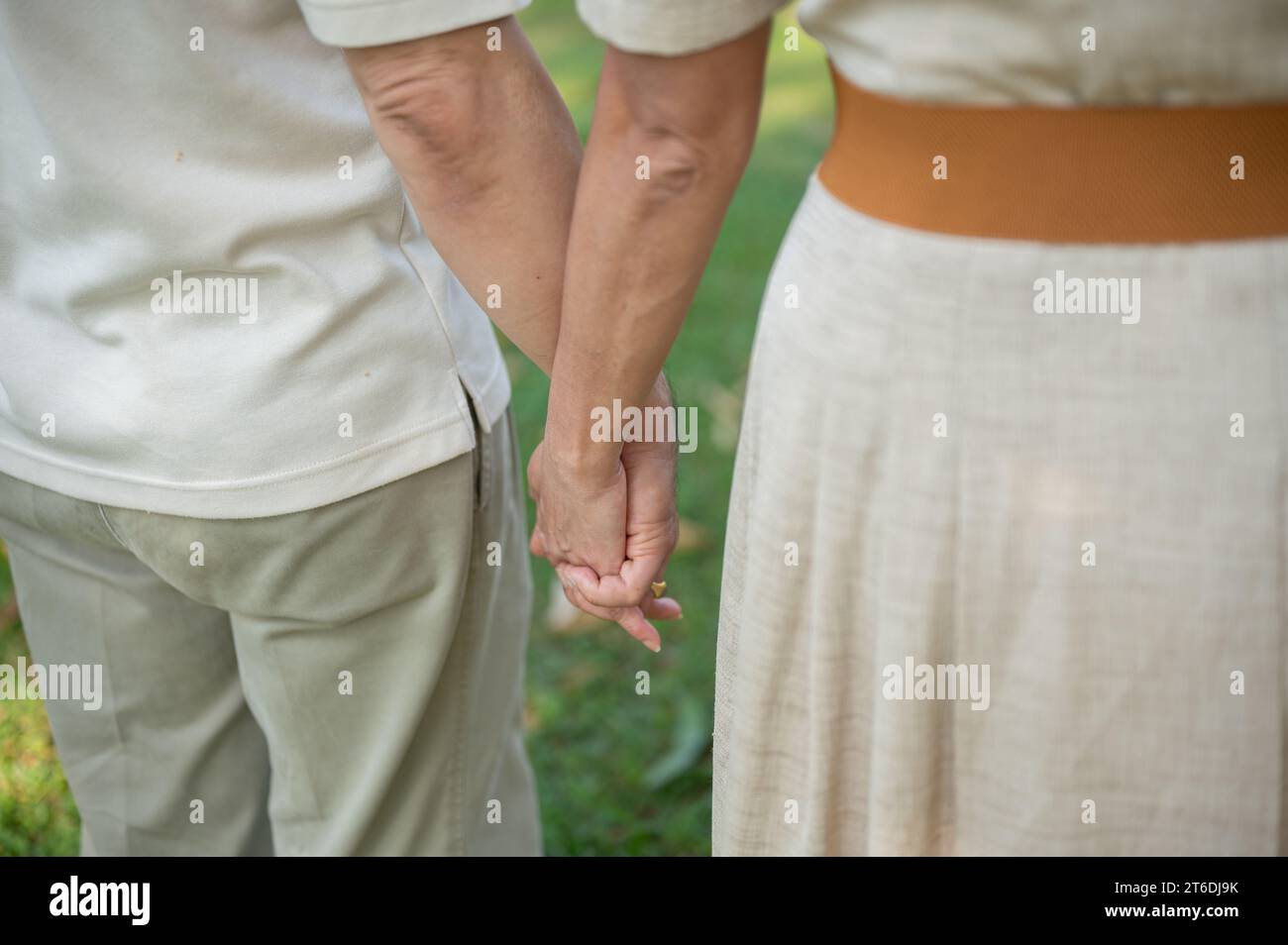 Close-up back view image of lovely senior couples are holding hands ...