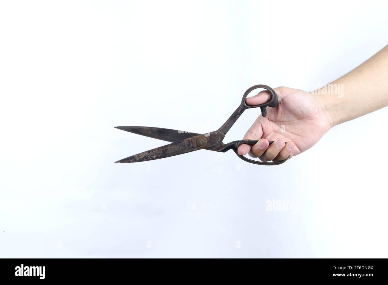 hand holding scissors Stock Photo - Alamy