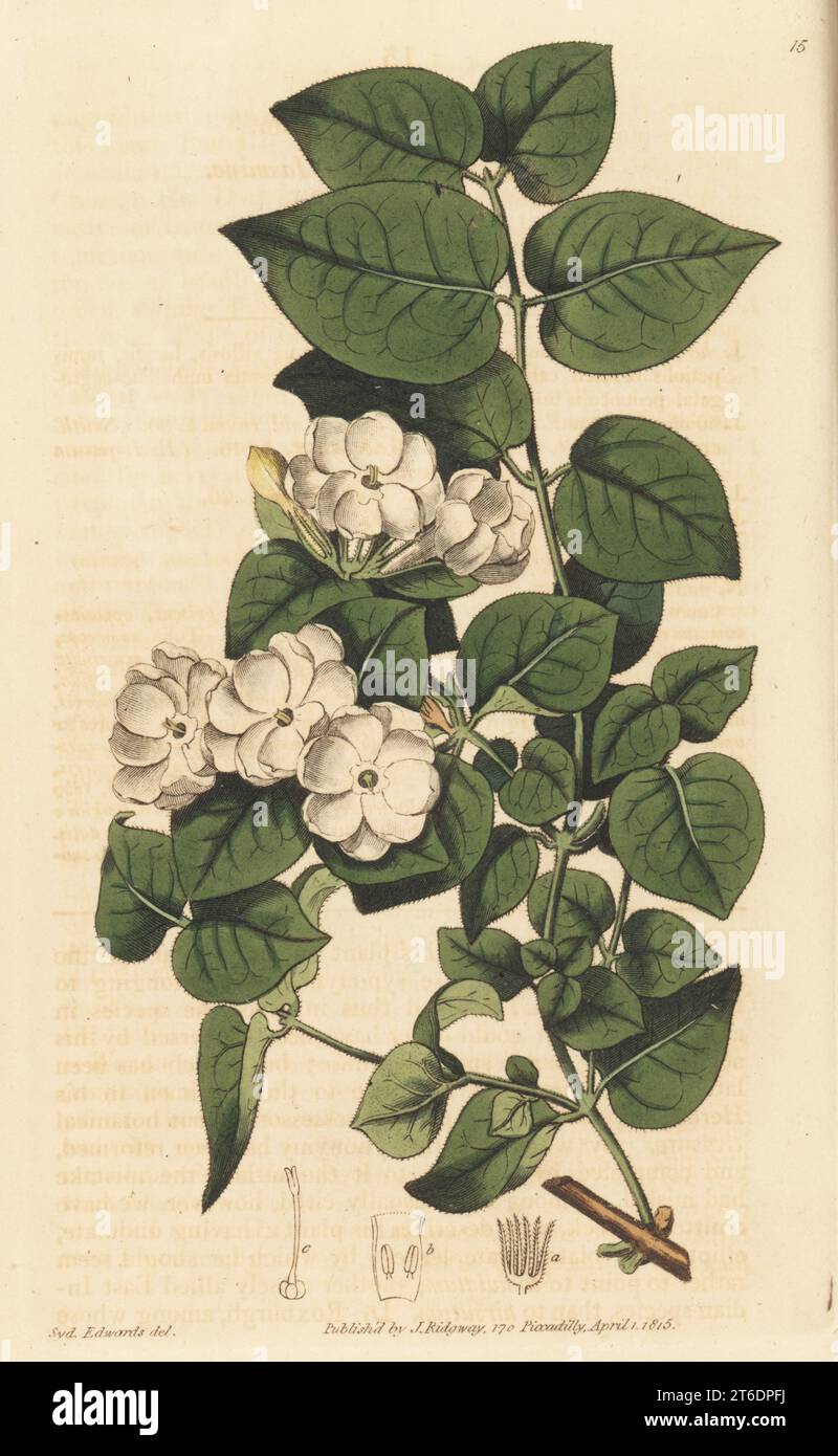 Dr william roxburgh hi-res stock photography and images - Alamy