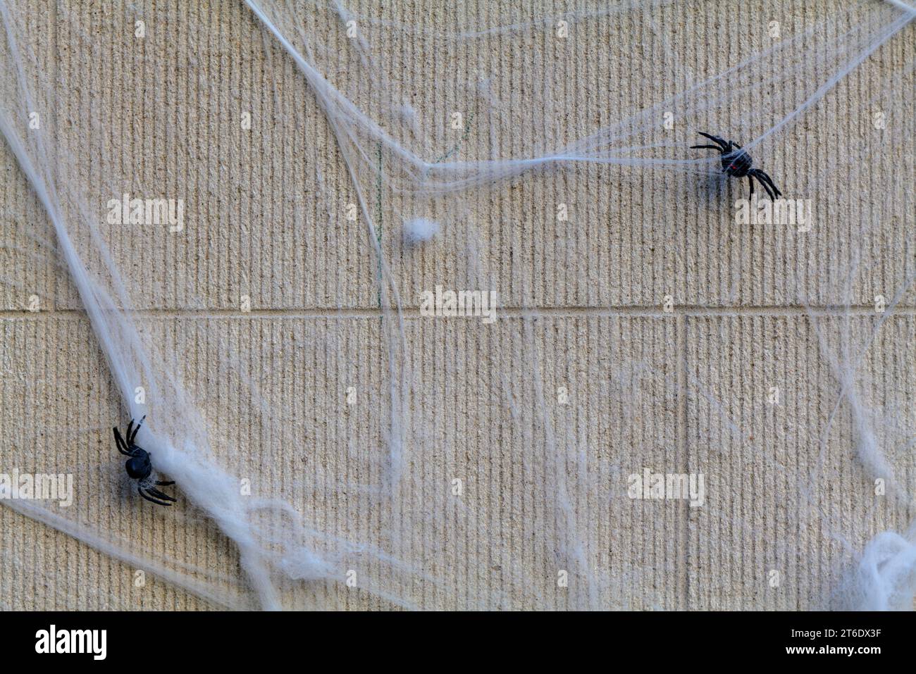 Halloween background with spider web and spiders as symbols of ...