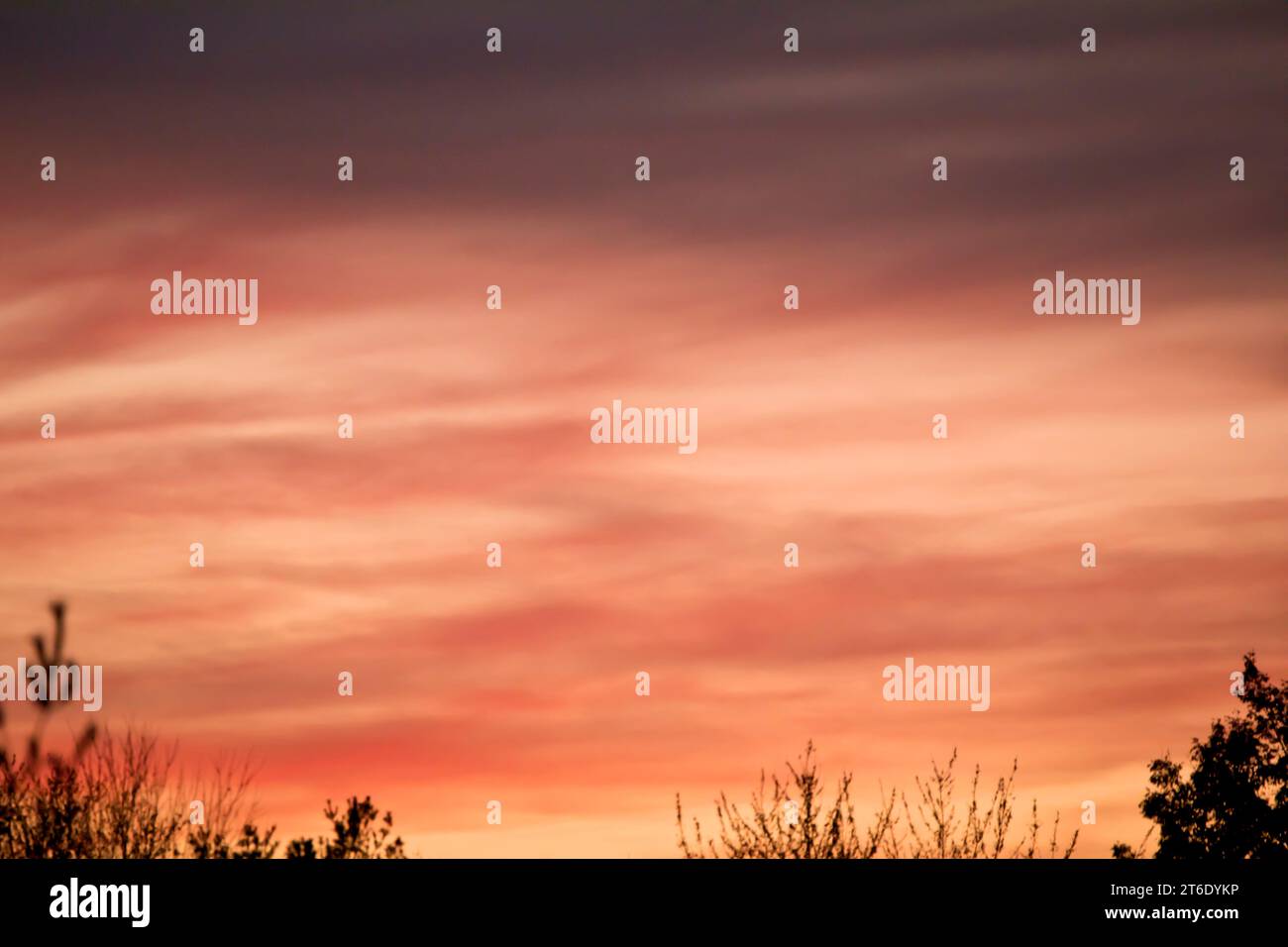Dramatic sunset sky with pink and purple tones over Iowa with tree ...