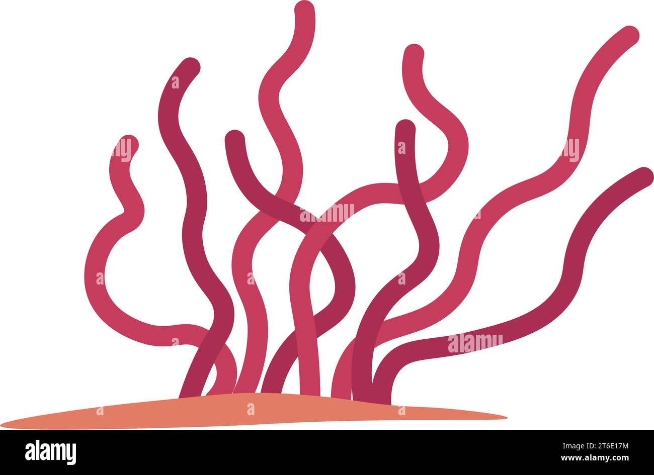 Atlantic ocean algae Stock Vector Images - Alamy