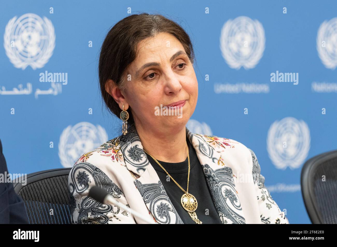 Rola Dashti attends press briefing on socioeconomic impacts of war in ...