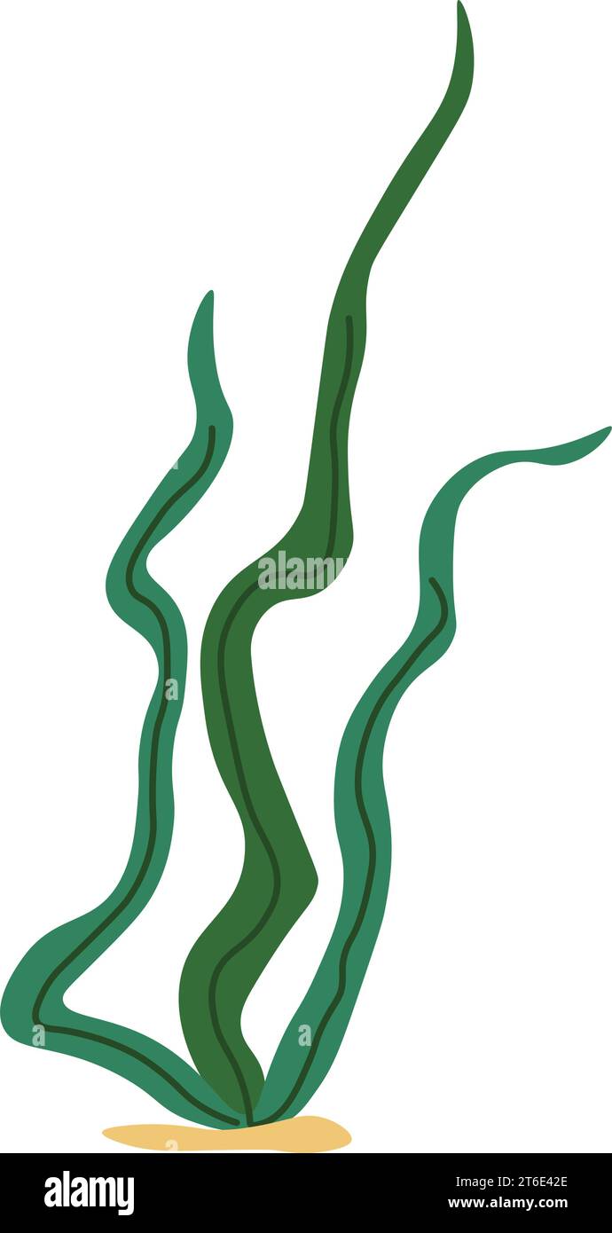 Underwater seaweed, aquatic marine algae plant Stock Vector Image & Art - Alamy