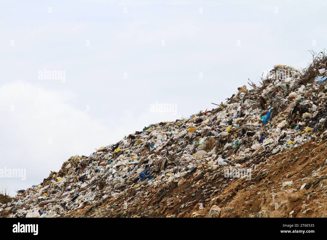 Disposal of plastic waste hi-res stock photography and images - Alamy