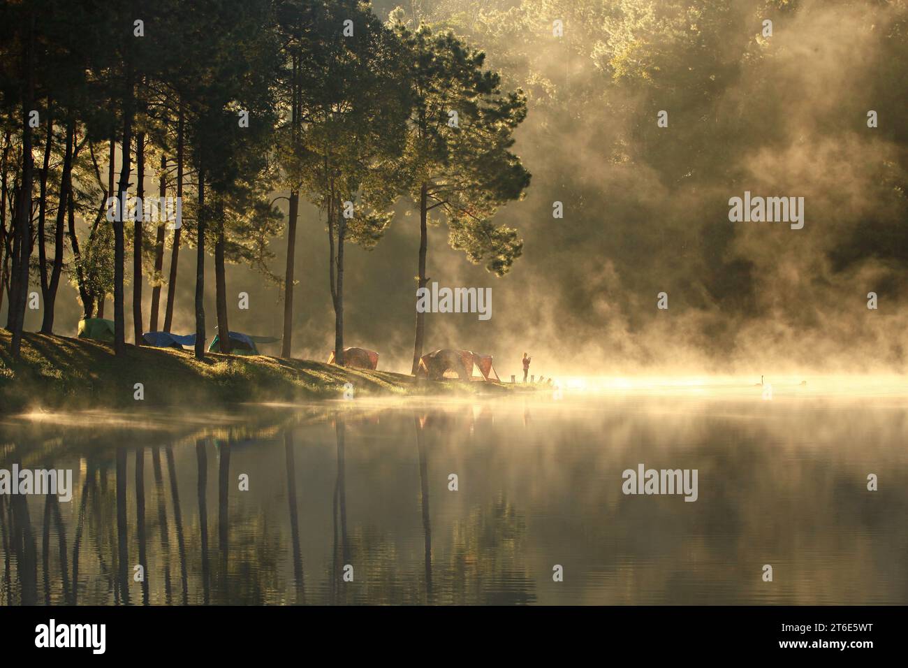 Early morning breath of Pang Oung or Pang Tong Royal Project in Mae ...