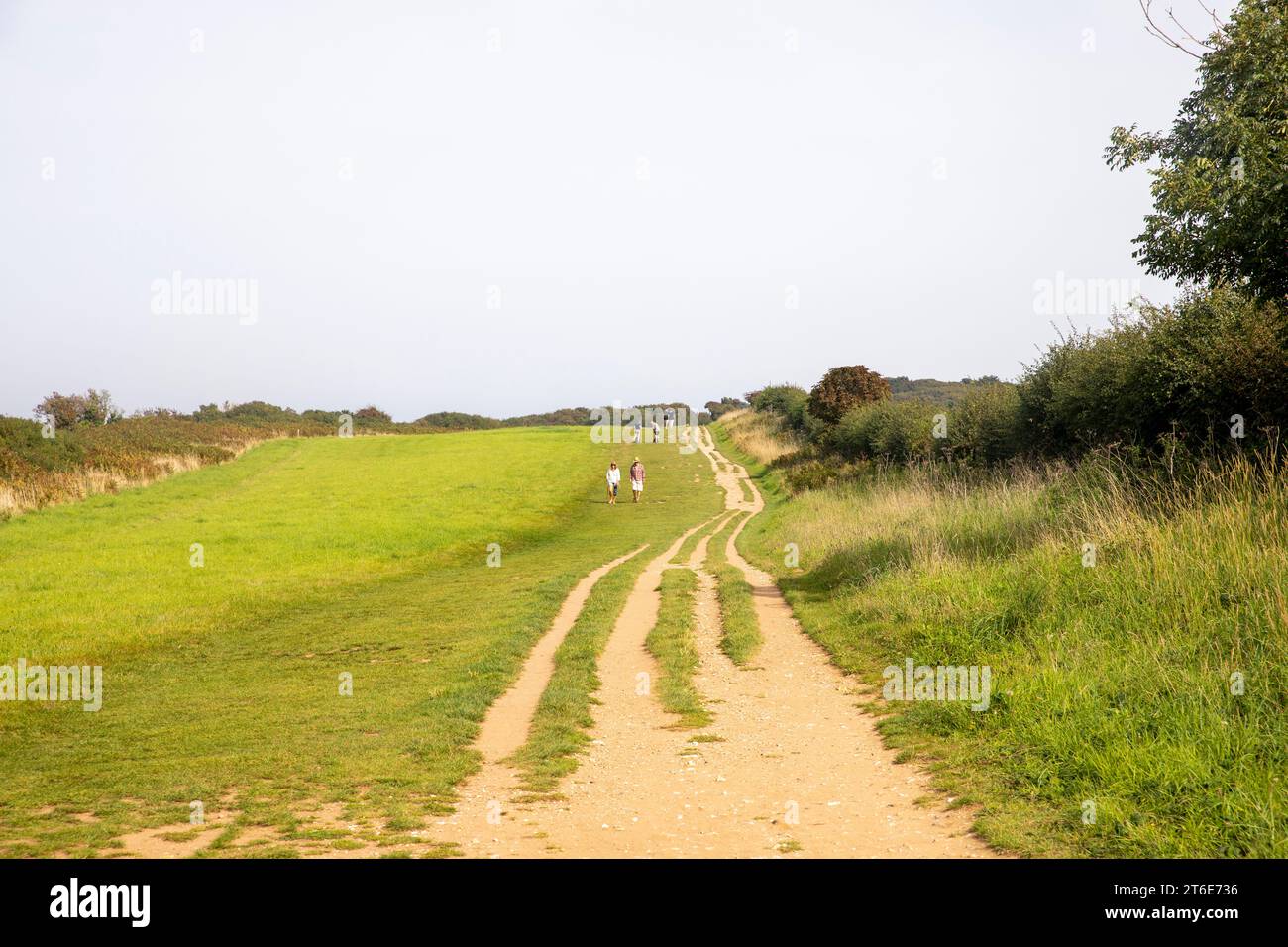 Isle of Purbeck Dorset coast, trail path walk to Old Harry Rocks ...