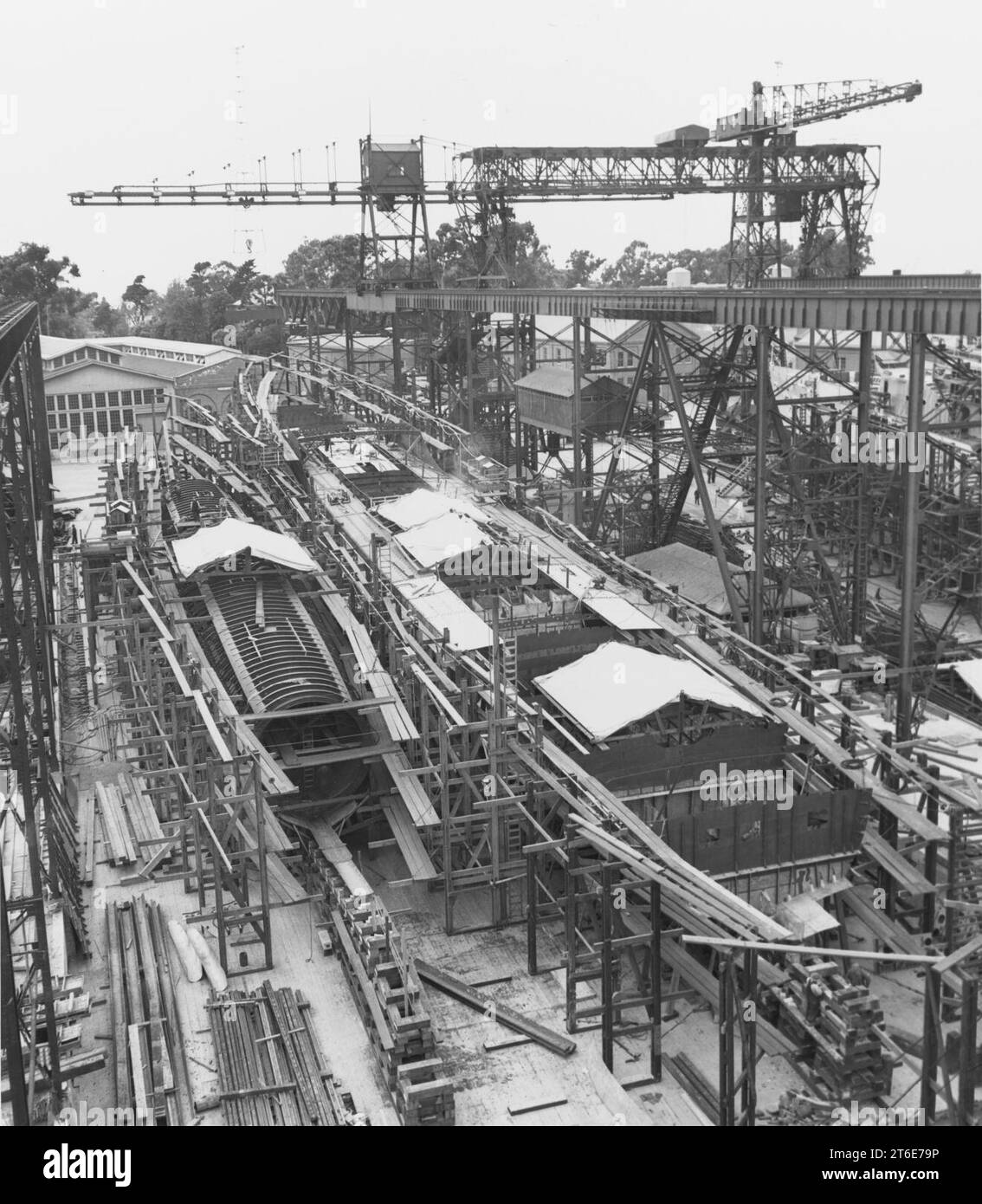 Pompano Black and White Stock Photos & Images - Alamy