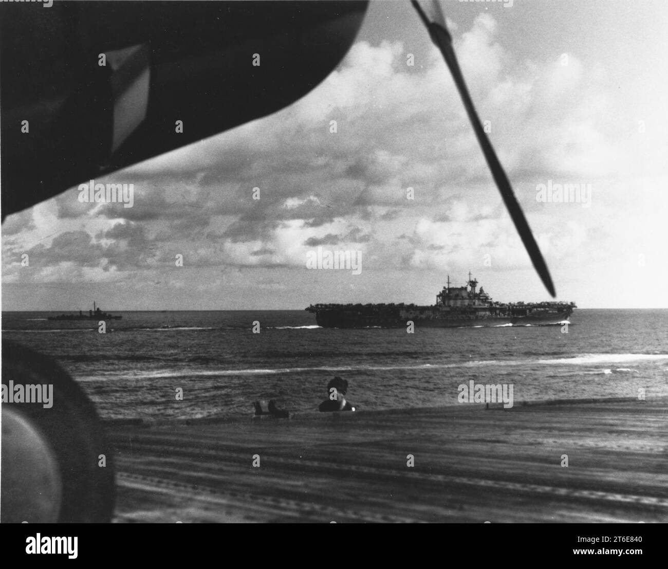 Area coral Black and White Stock Photos & Images - Alamy