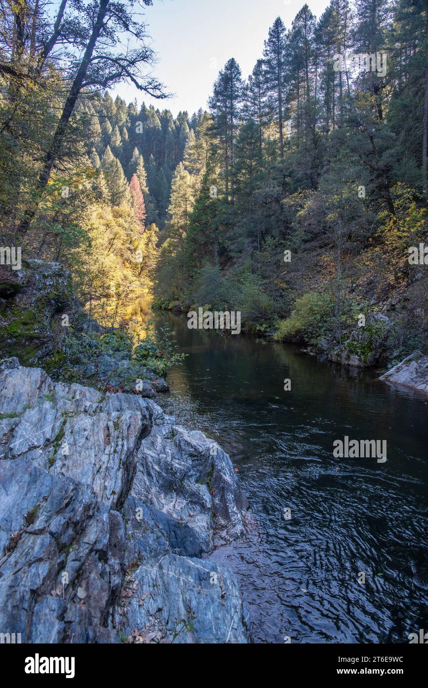 Butte creek flows through the forest and wilderness in the SIerra ...