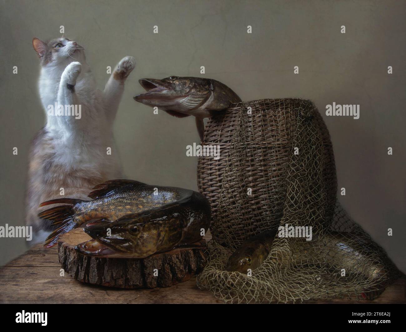 Still life with fish and curious cat Stock Photo - Alamy