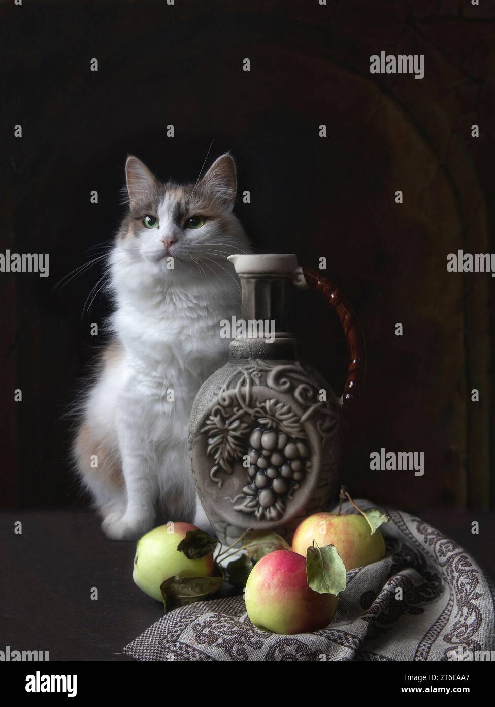 Still life with adorable cat Stock Photo - Alamy