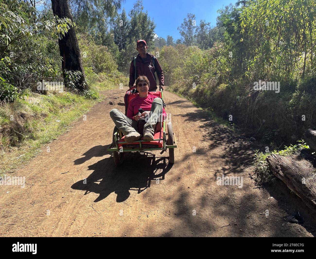 Female tourist is wheeled down the Ijen volcano on a cart Stock Photo ...