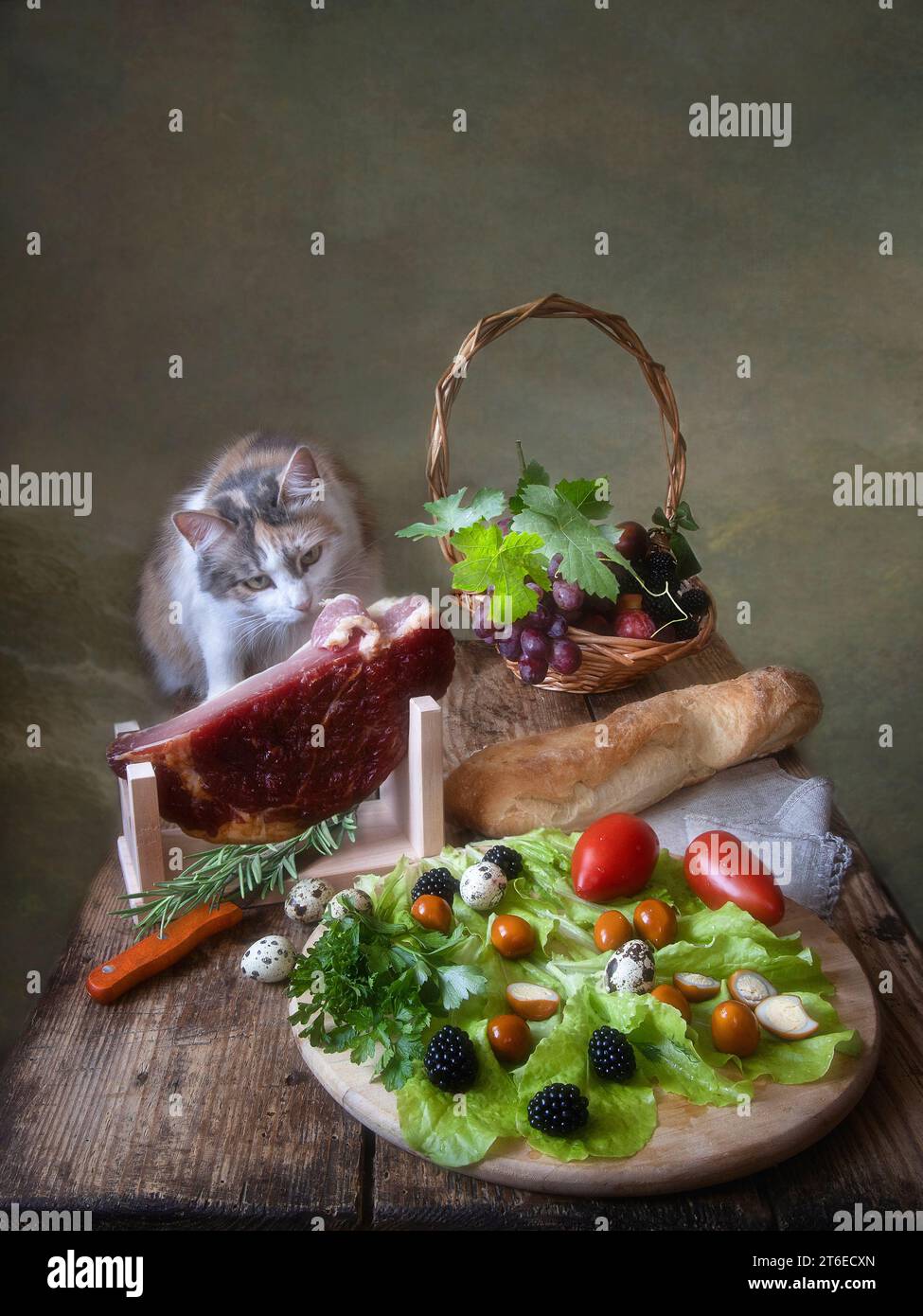 Funny cat food hi-res stock photography and images - Alamy