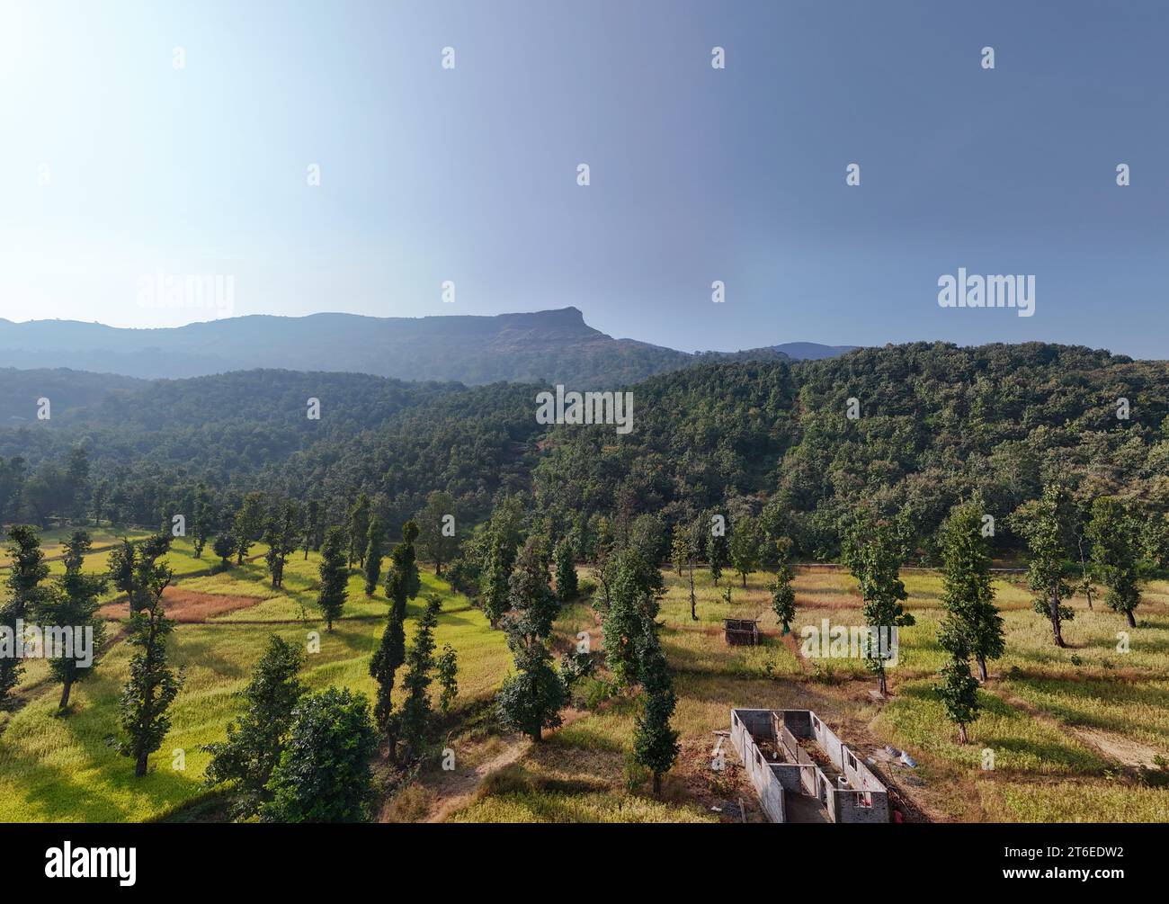 Layers in nature hi-res stock photography and images - Alamy