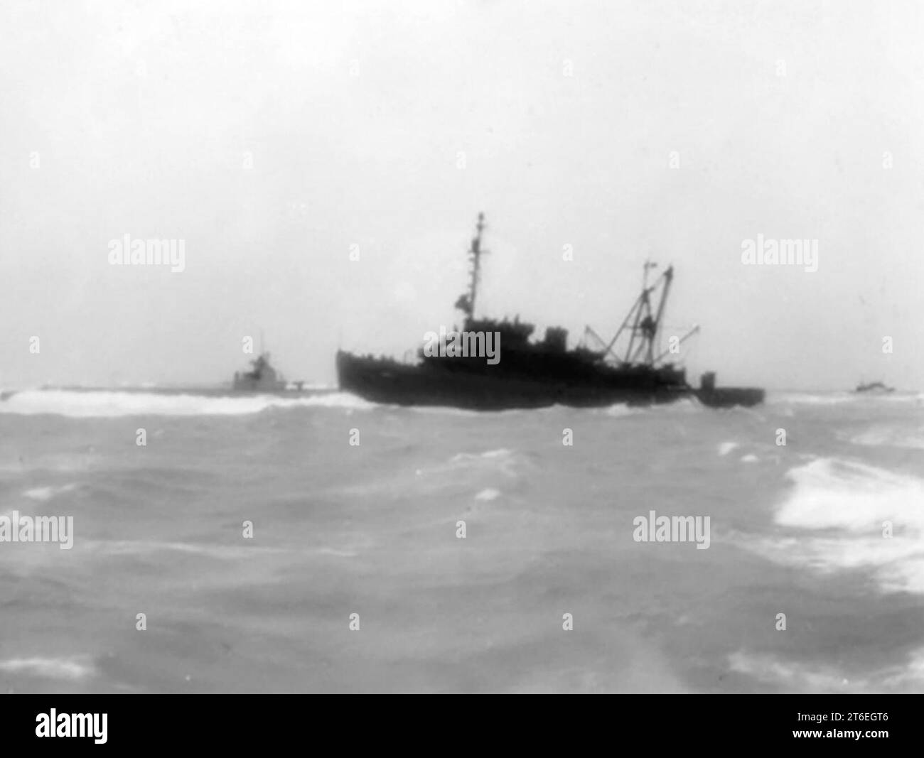 Uss macaw hi-res stock photography and images - Alamy