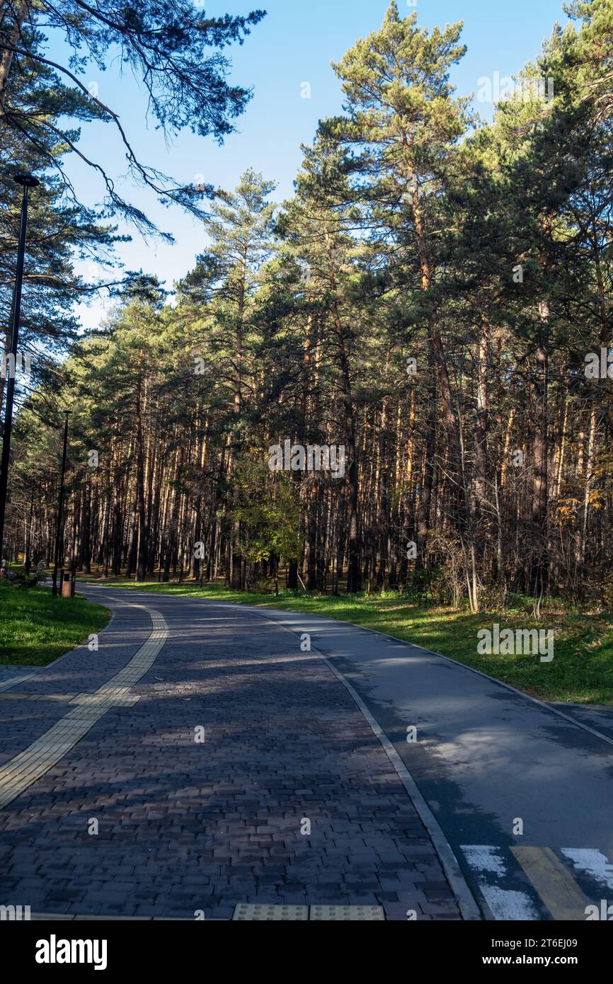 Walking path in a city park. Pedestrian path made in the forest Stock ...