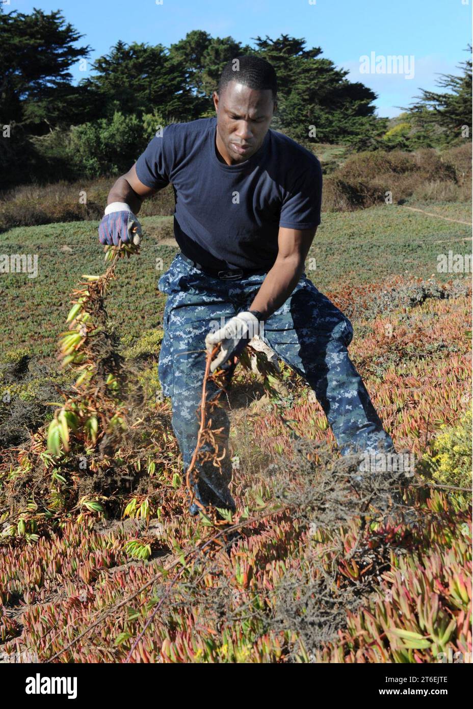 USS Makin Island crew performs community service during SFFW 121005 ...