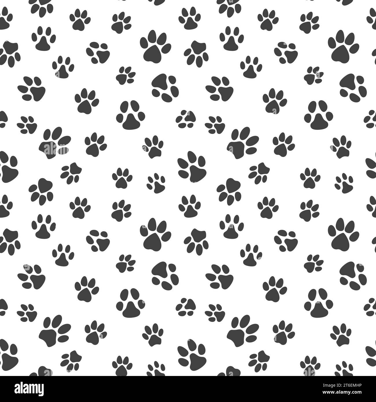 Color pattern of the breed Black and White Stock Photos & Images - Alamy