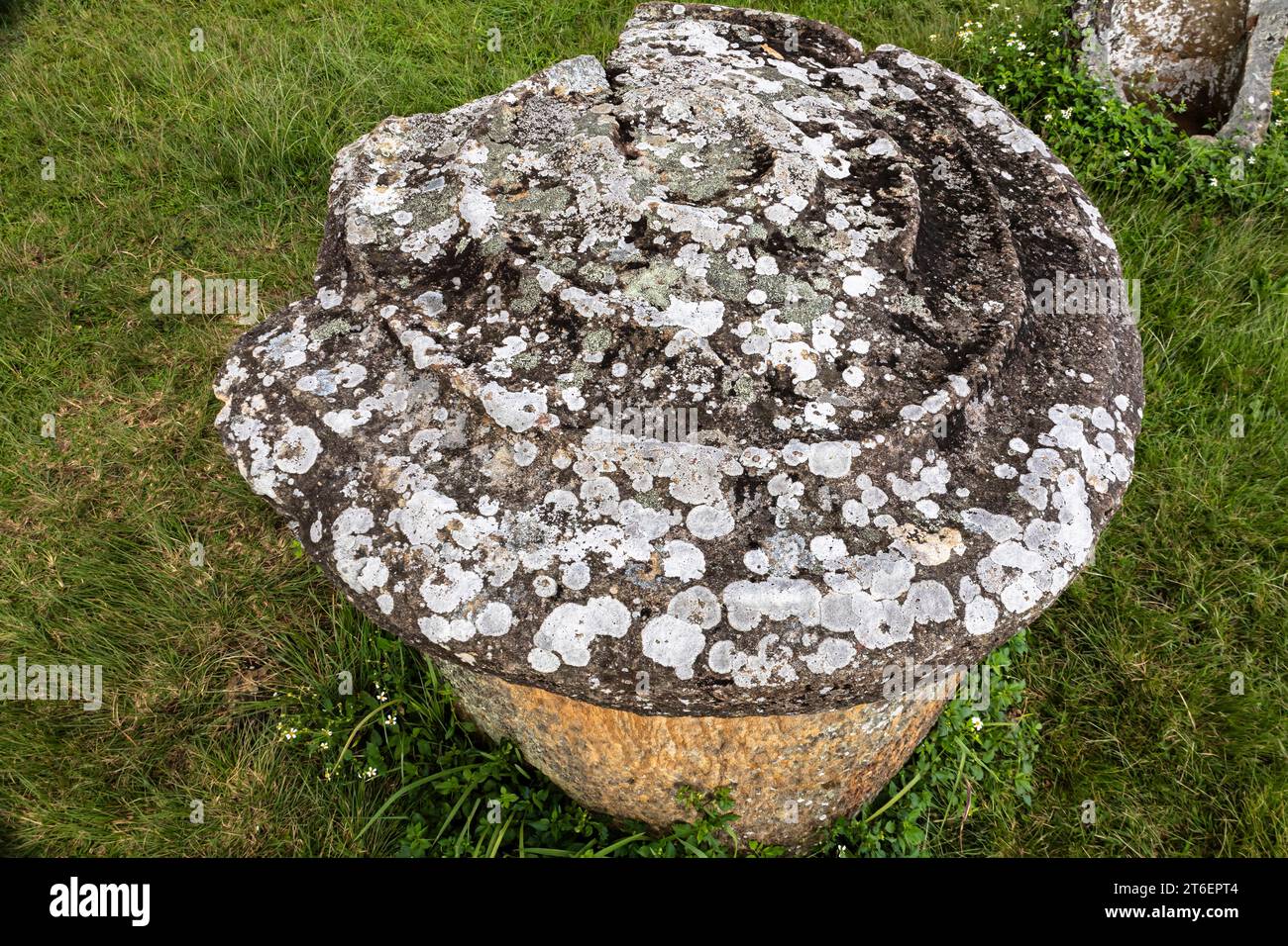 Lichen of asia hi-res stock photography and images - Alamy
