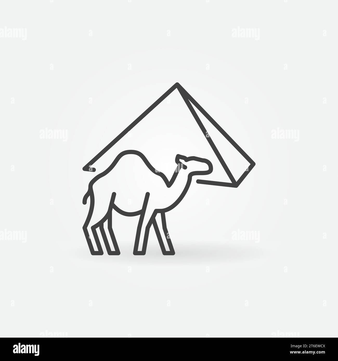 Egyptian Camel and Egypt Pyramid vector concept icon or symbol in thin ...