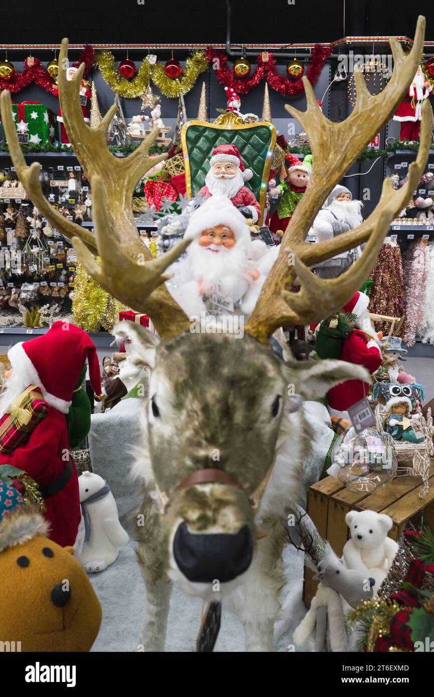 Montauban, France. 09th Nov, 2023. A Reindeer driving two Santas. It s ...