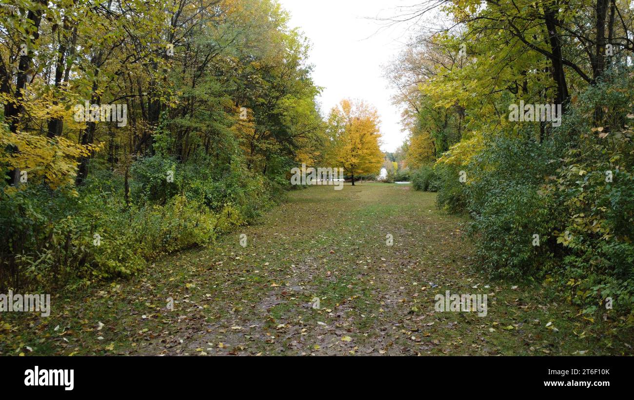 An autumn landscape in the park with vibrant trees in shades of green ...