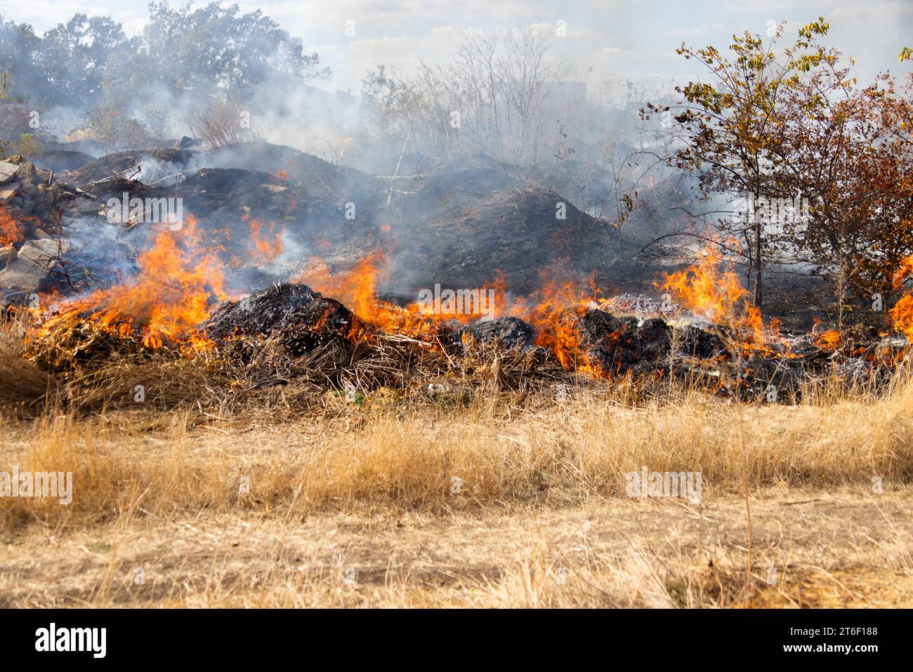 steppe fires during severe drought completely destroy fields. Disaster ...
