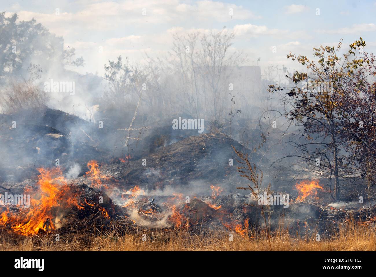 steppe fires during severe drought completely destroy fields. Disaster ...