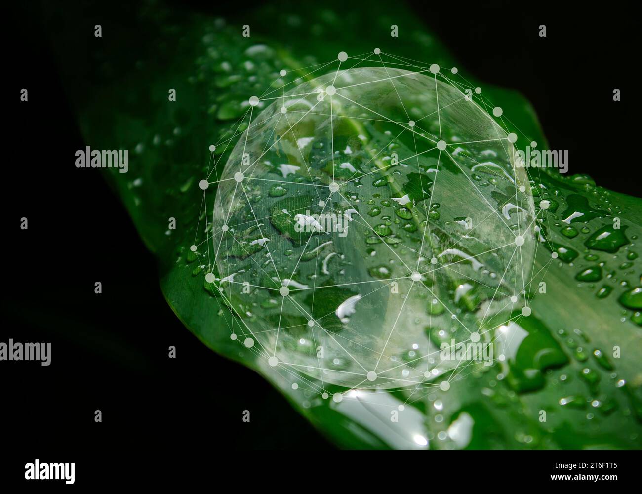 Ecosystem and preserve nature and sustainable concept, CREDIT BY NASA ...