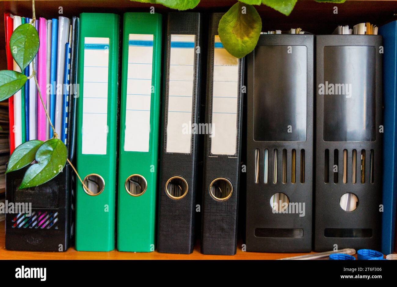 Plastic and paper folders. documents stand on the shelf of the cabinet ...