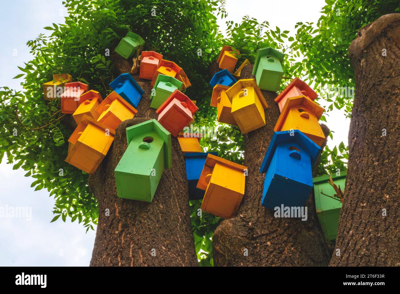 Color nesting boxes on a tree. A lot of colorful birdhouses.The Concept ...