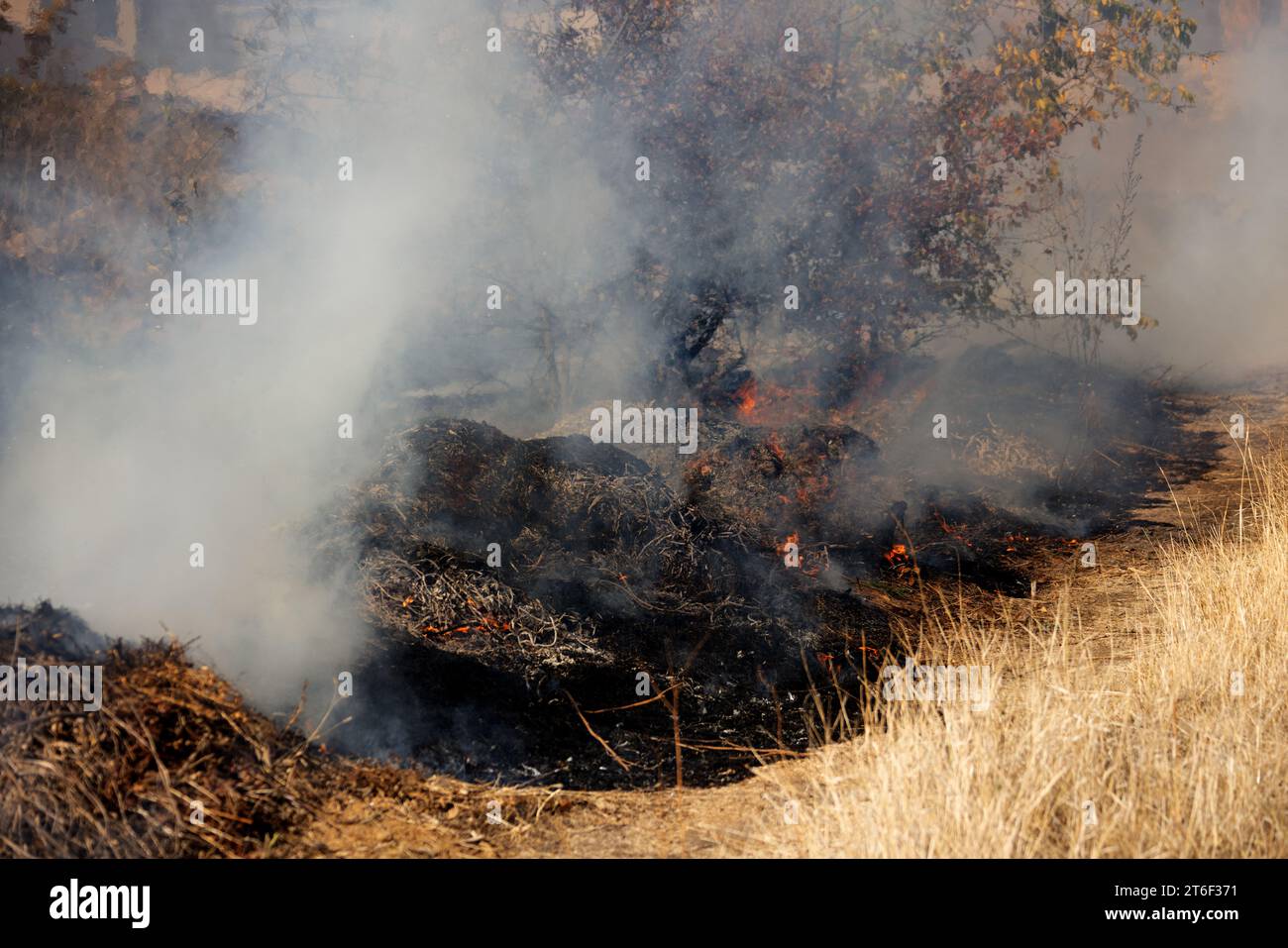 steppe fires during severe drought completely destroy fields. Disaster ...