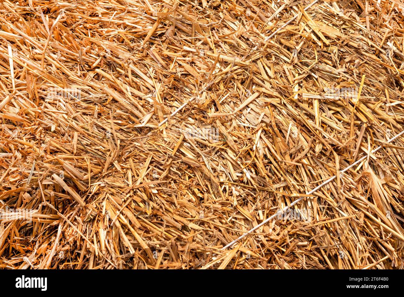 Stacks of straw. Alternative fuel source. Concept Alternative fuel ...