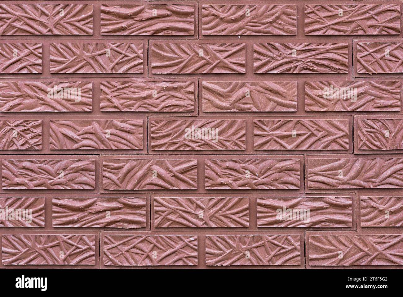 The texture is a brick wall. blossom, color, bloom, flower, coloring ...