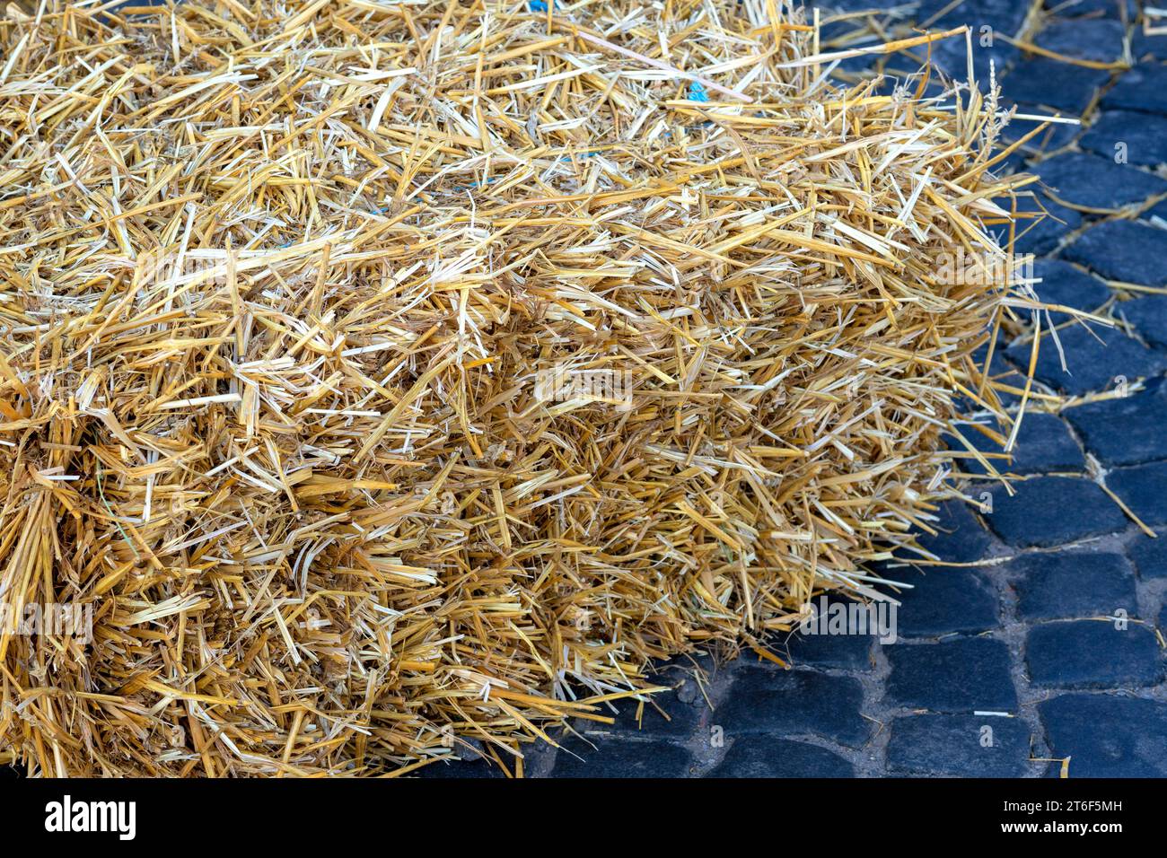 Stacks of straw. Alternative fuel source. Concept Alternative fuel ...